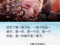 霸王别姬为什么经典_霸王别姬深度解析