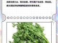 香菜的营养价值_香菜的药用价值有哪些