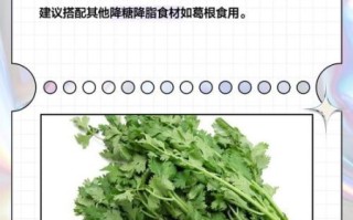 香菜的营养价值_香菜的药用价值有哪些