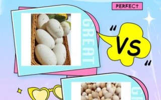 鹅蛋图片大全大图_鹅蛋和鸡蛋营养区别