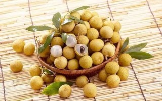 龙眼产地主要在哪个省_龙眼哪里最出名