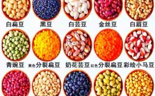 豆类图片怎么识别_常见豆类种类有哪些