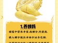 榴莲的功效与作用_榴莲怎么吃不上火
