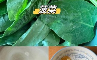 粉丝菠菜怎么炒_粉丝菠菜的家常做法