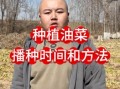油菜籽什么时候种_油菜籽怎么种
