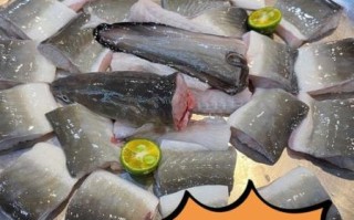 鳗鱼咬一口有多严重_被鳗鱼咬伤怎么处理