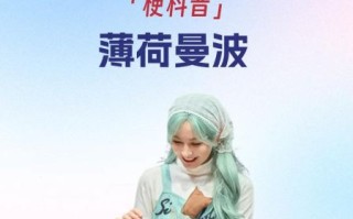 薄荷网络是什么_薄荷网络靠谱吗