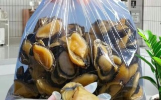 干海蛎子怎么炒好吃_干海蛎子炒前要不要泡发