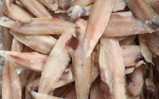 龙利鱼多少钱一斤2018_龙利鱼价格走势