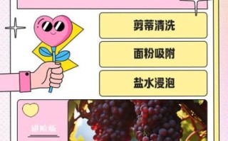 葡萄怎么洗才能洗干净_葡萄表面白霜怎么去除