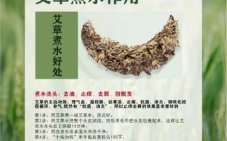 艾叶煮水的正确方法_艾叶煮水有什么功效