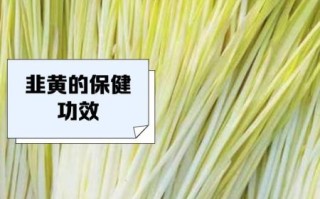 韭黄是什么季节_韭黄几月份最鲜嫩