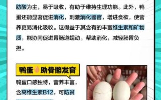 鸭蛋的功效与作用及禁忌_什么人不能吃鸭蛋
