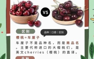 车厘子功效与作用禁忌_什么人不能吃