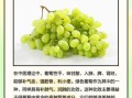 葡萄的功效与作用价值_吃葡萄能减肥吗