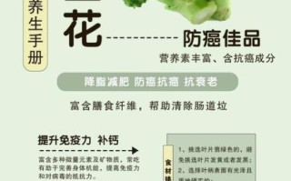 西兰花可以减肥吗_西兰花有什么营养价值