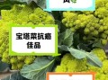 塔菜的功效与作用_塔菜怎么吃最营养