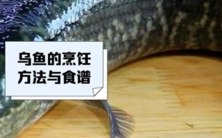 乌头鱼的功效与禁忌_孕妇能吃吗