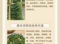 白色龙须菜是假的吗_如何辨别真假龙须菜