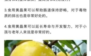 黄晶果怎么种植_黄晶果营养价值