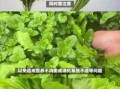 芥菜和荠菜的区别_如何一眼分辨两种野菜