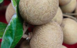 新鲜龙眼吃多了会上火吗_一天吃多少颗合适