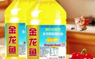 金龙鱼调和油好不好_金龙鱼调和油价格多少钱