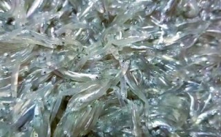 丁香鱼干怎么做好吃_家常做法步骤