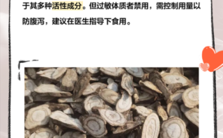 人参叶的功效与作用_人参叶怎么泡水喝
