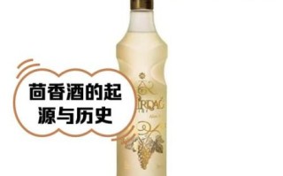 茴香酒怎么喝_茴香酒是什么酒
