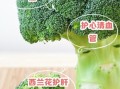 西兰花有什么功效_西兰花怎么吃最营养