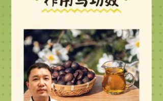 茶油炒菜的功效与作用_茶油炒菜真的更健康吗