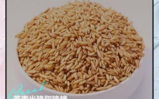 燕麦米怎么吃降血糖_燕麦米降血糖的正确吃法