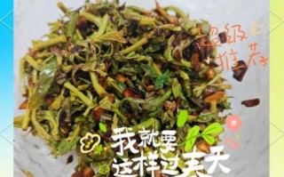 香椿怎么腌制_香椿咸菜家常做法