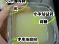 小米粥油的营养价值_小米粥油的功效与作用