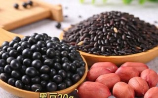 黑豆豆浆怎么做_黑豆豆浆的做法大全