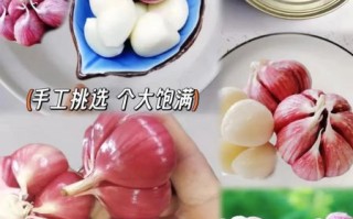 金乡大蒜价格今日多少钱一斤_金乡大蒜最新行情