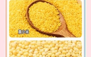 黄米是什么_黄米和小米的区别