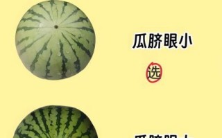 西瓜怎么挑_西瓜挑甜不挑大