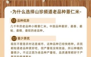 薏米是什么米_薏米和薏仁的区别