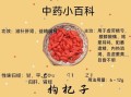 枸杞怎么吃补肾效果最好_枸杞补肾的正确吃法