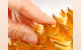 没裂口的榴莲怎么开_没裂口的榴莲怎么打开