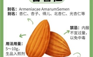 苦杏仁怎么吃最安全_苦杏仁的正确处理方法