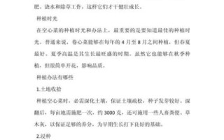 空心菜怎么种_空心菜种植技术与管理