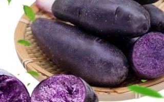 黑土豆怎么做好吃_黑土豆的家常做法