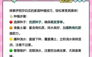 伊丽莎白瓜的热量高吗_伊丽莎白瓜减肥能吃吗