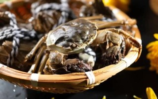 六月黄大闸蟹产地在哪里_六月黄和阳澄湖区别