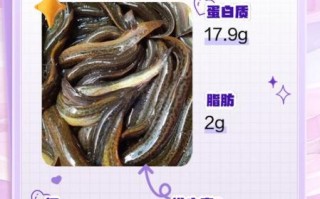 泥鳅的营养价值_泥鳅的功效与作用