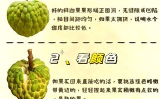 释迦果怎么吃_释迦果怎么挑