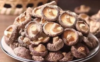 金钱菇与香菇的区别_哪个更营养